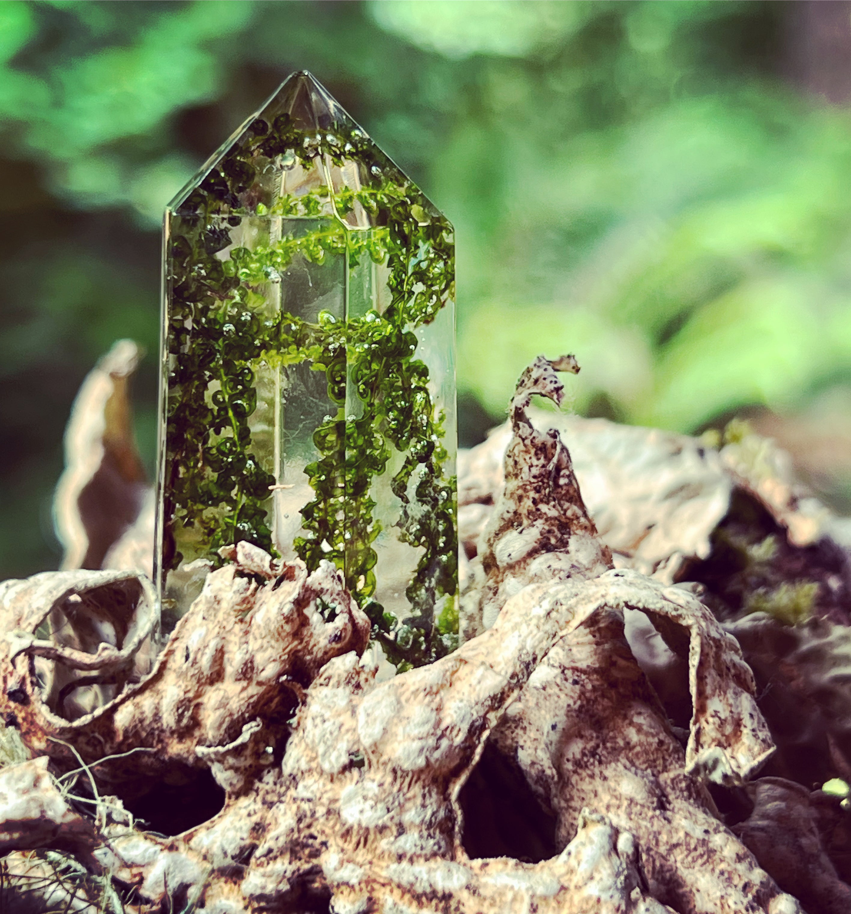 GIllyweed Grand Towers – The Woodland Wandolier